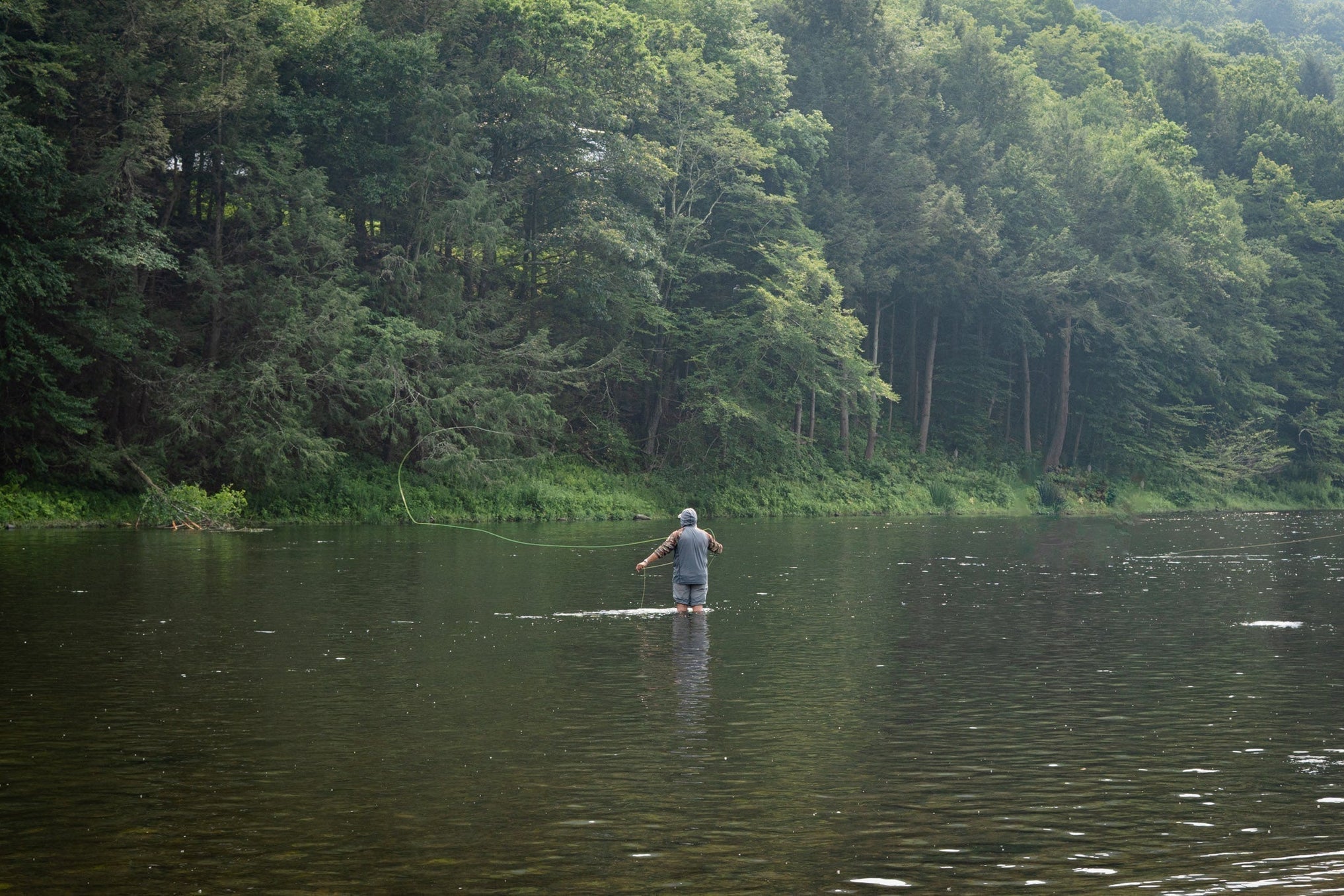 Fly Lines Part 1: Understanding the Most Overlooked Part of Your Syste ...