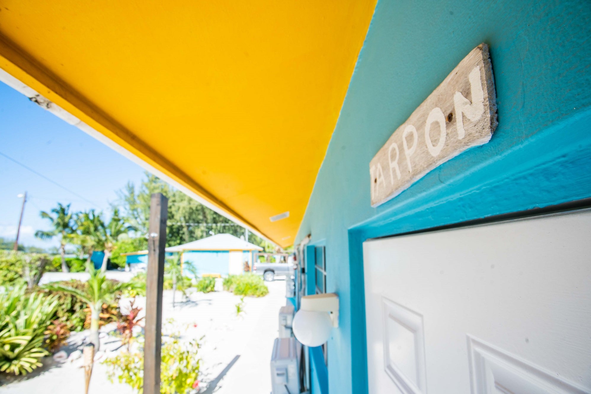 South Andros Bahamas Trip 2026 — TCO Fly Shop