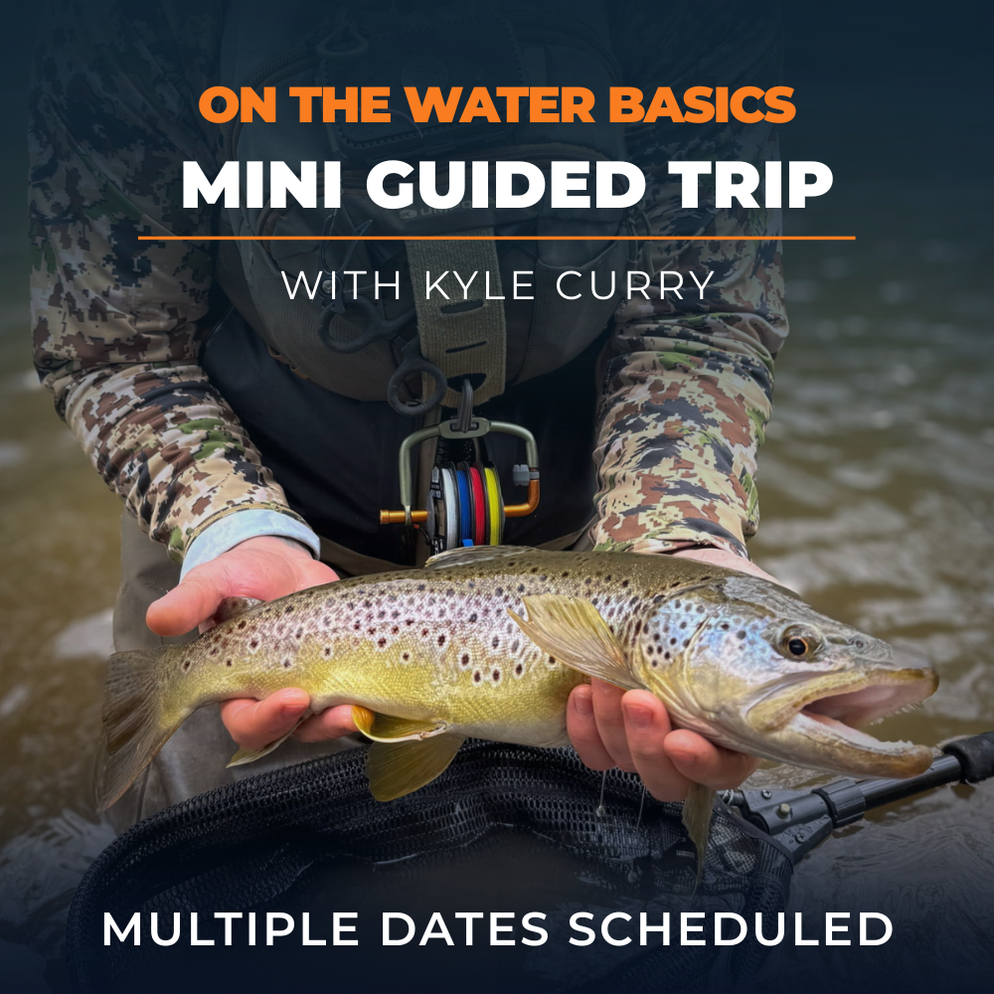 TCO Fly Fishing School: Beyond the Basics of Fly Fishing (on the water ...