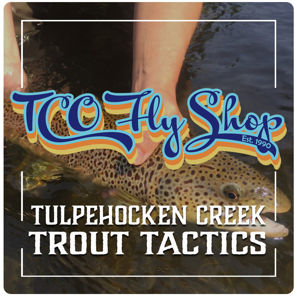 Fly Fishing Education — TCO Fly Shop