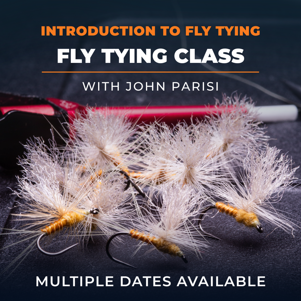 TCO Fly Tying Class: Intro to Fly Tying Bryn Mawr — TCO Fly Shop
