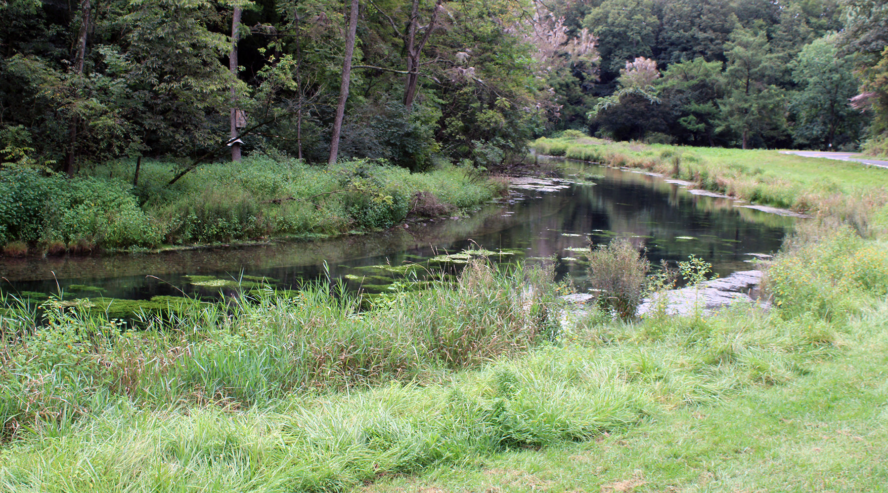Big Spring Creek Stream Report — TCO Fly Shop