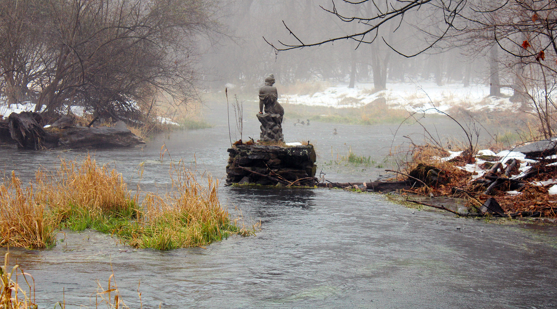 Letort Spring Run Stream Report — TCO Fly Shop