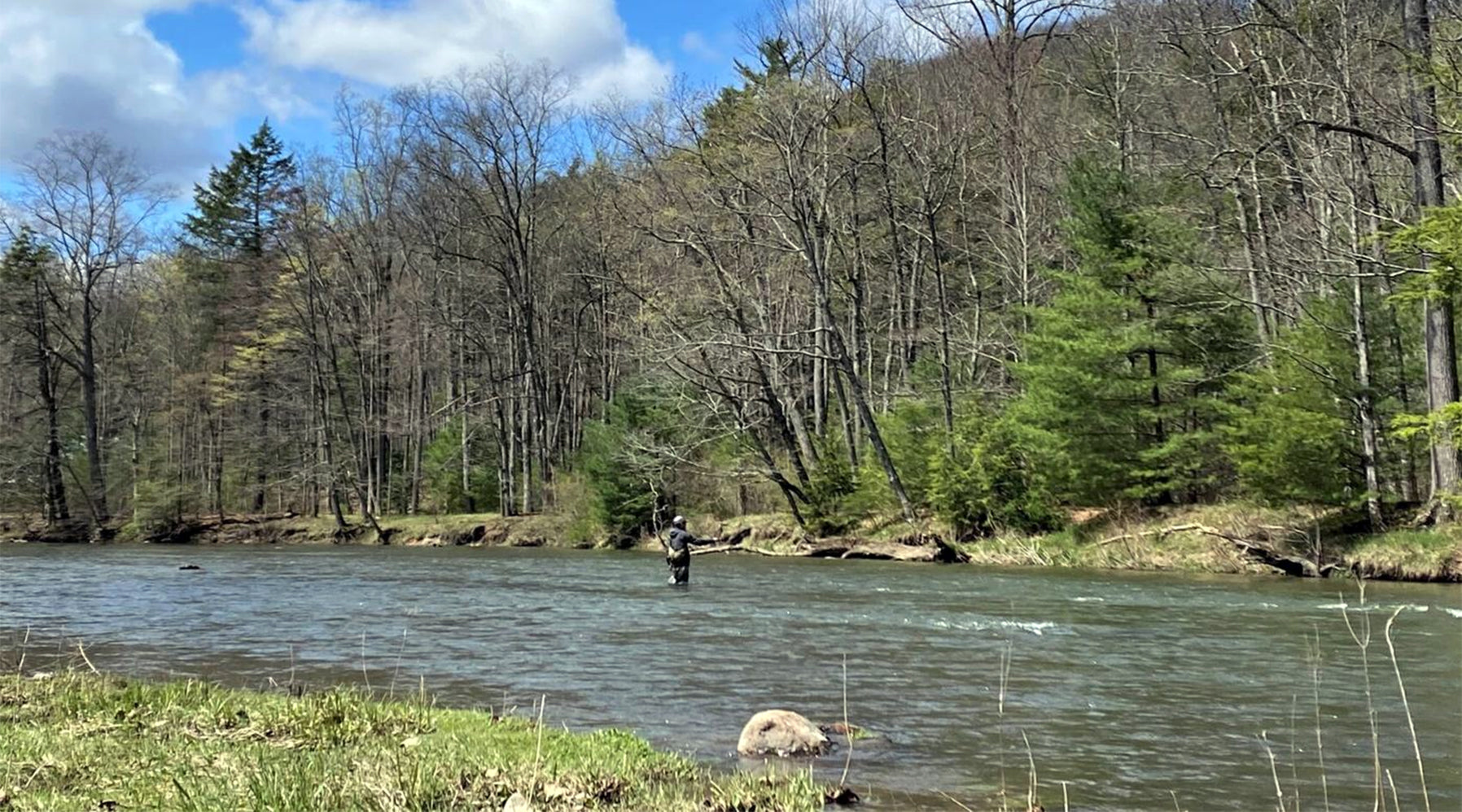 Spring Creek Stream Report — TCO Fly Shop