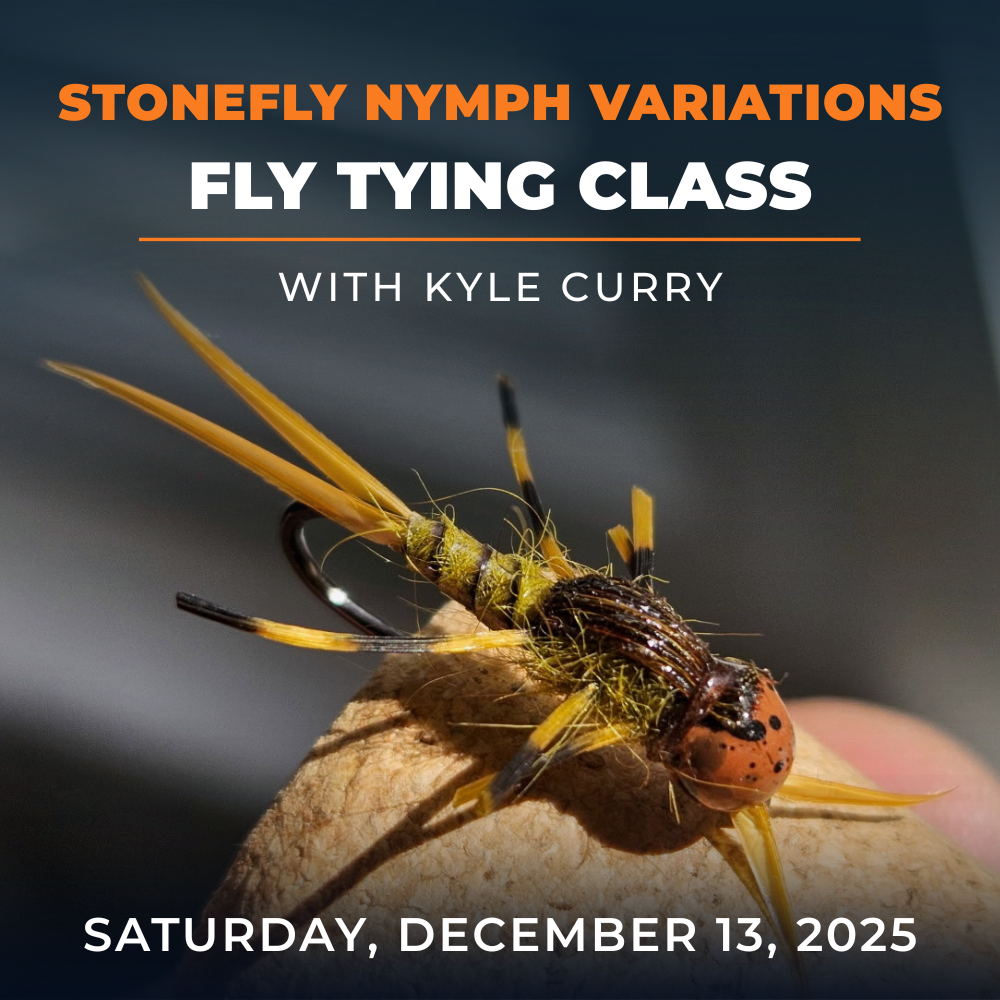 TCO Fly Tying: Stone Fly Nymph Variations with Kyle Curry — TCO Fly Shop