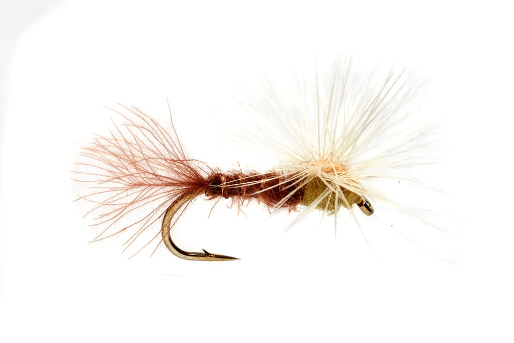 Keegan's Stacked PM Double D — TCO Fly Shop