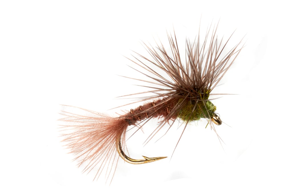 Keegan's Stacked BWO-My — TCO Fly Shop