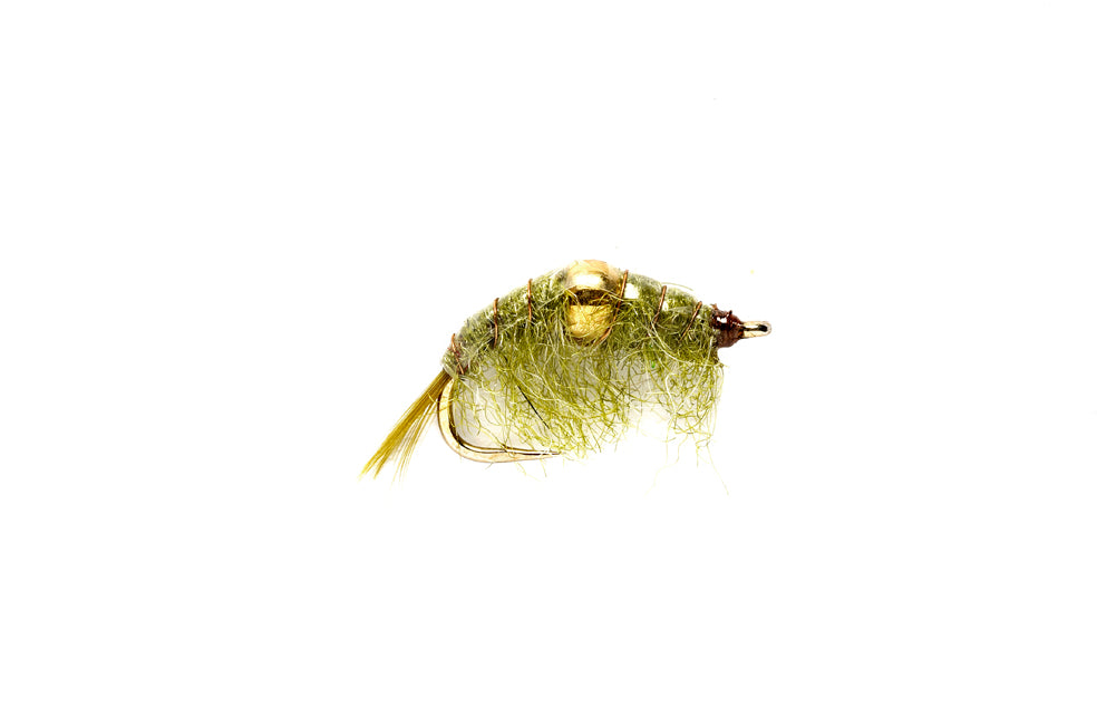 Bead Body Scud Olive — TCO Fly Shop