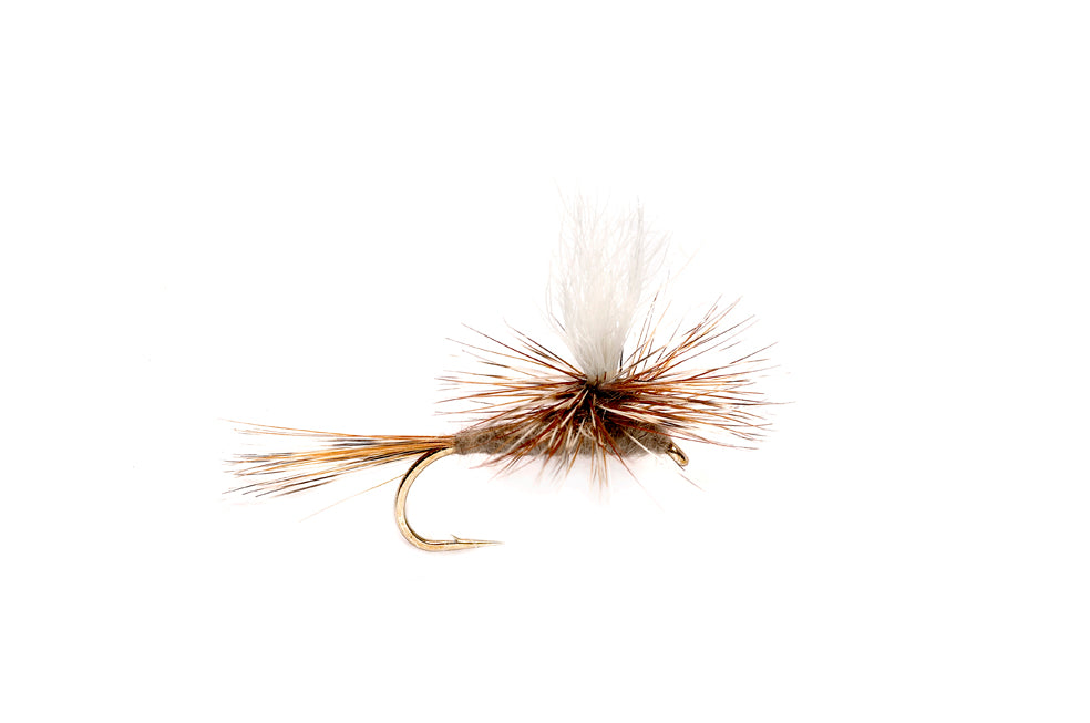 Adams Parachute — TCO Fly Shop