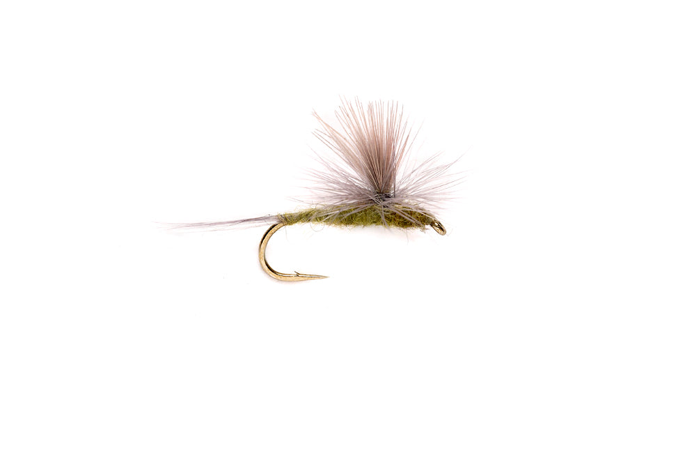 BWO Para — TCO Fly Shop