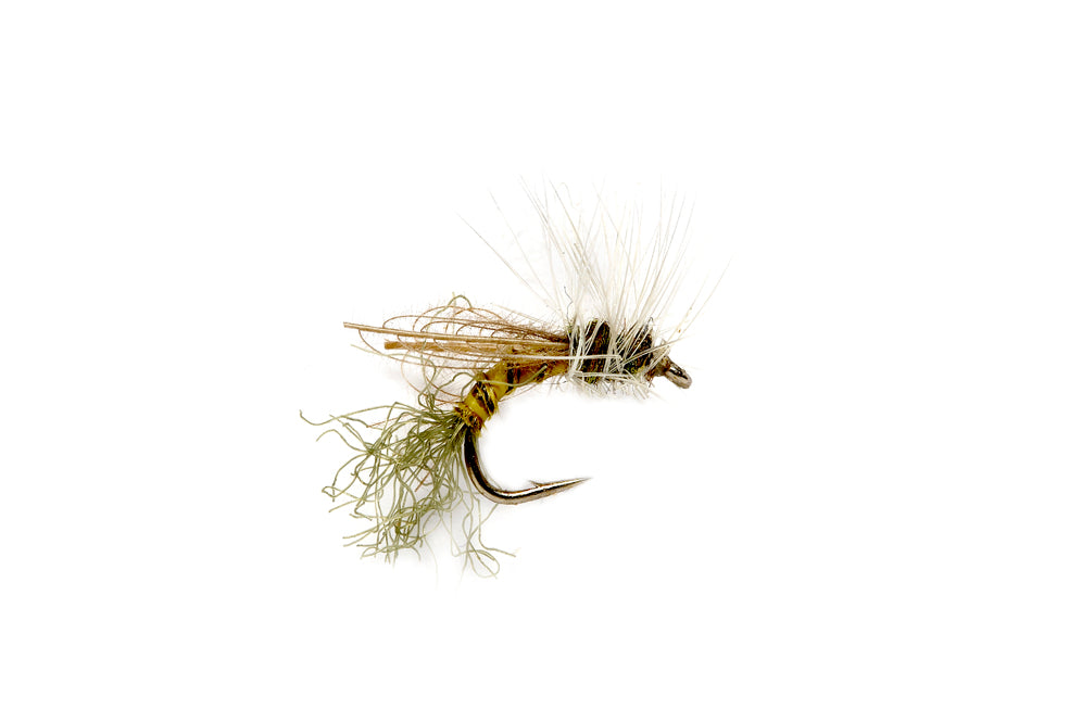 Smith's Crippled BWO — TCO Fly Shop