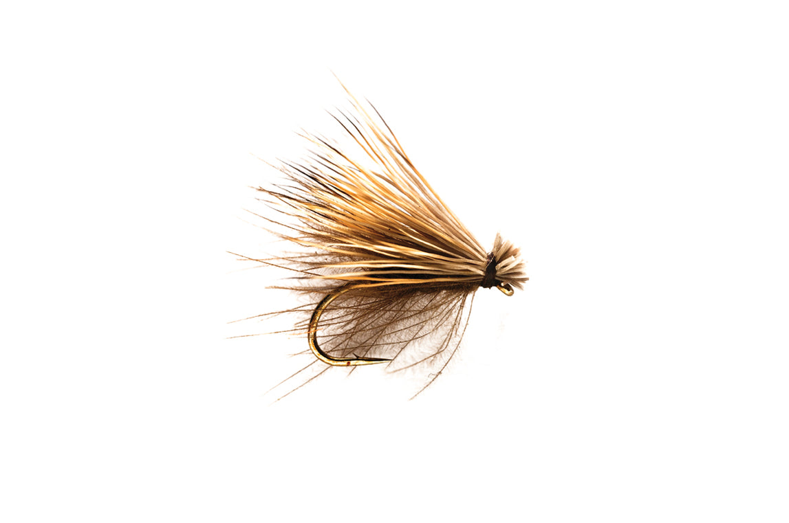 Tulpehocken Creek Stream Report — TCO Fly Shop