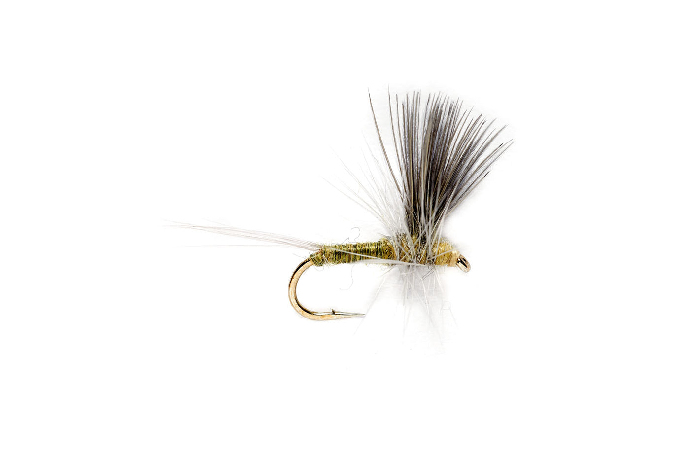 Spring Creek Stream Report — TCO Fly Shop
