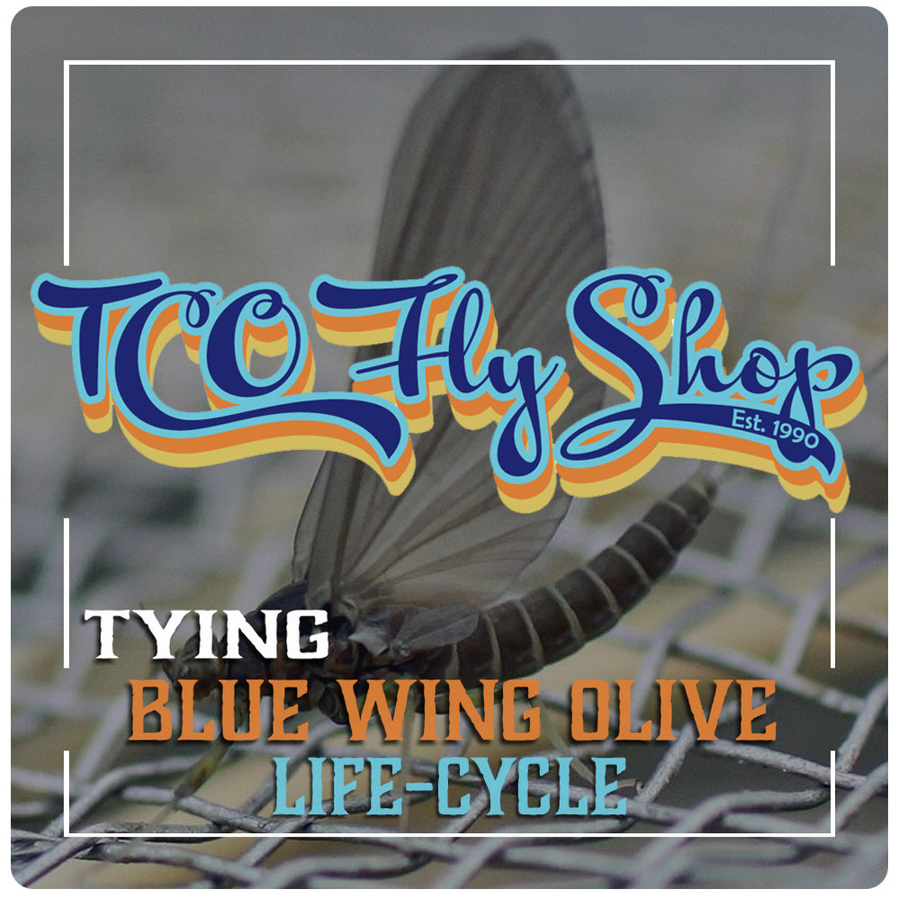 Little Juniata River Stream Report — TCO Fly Shop