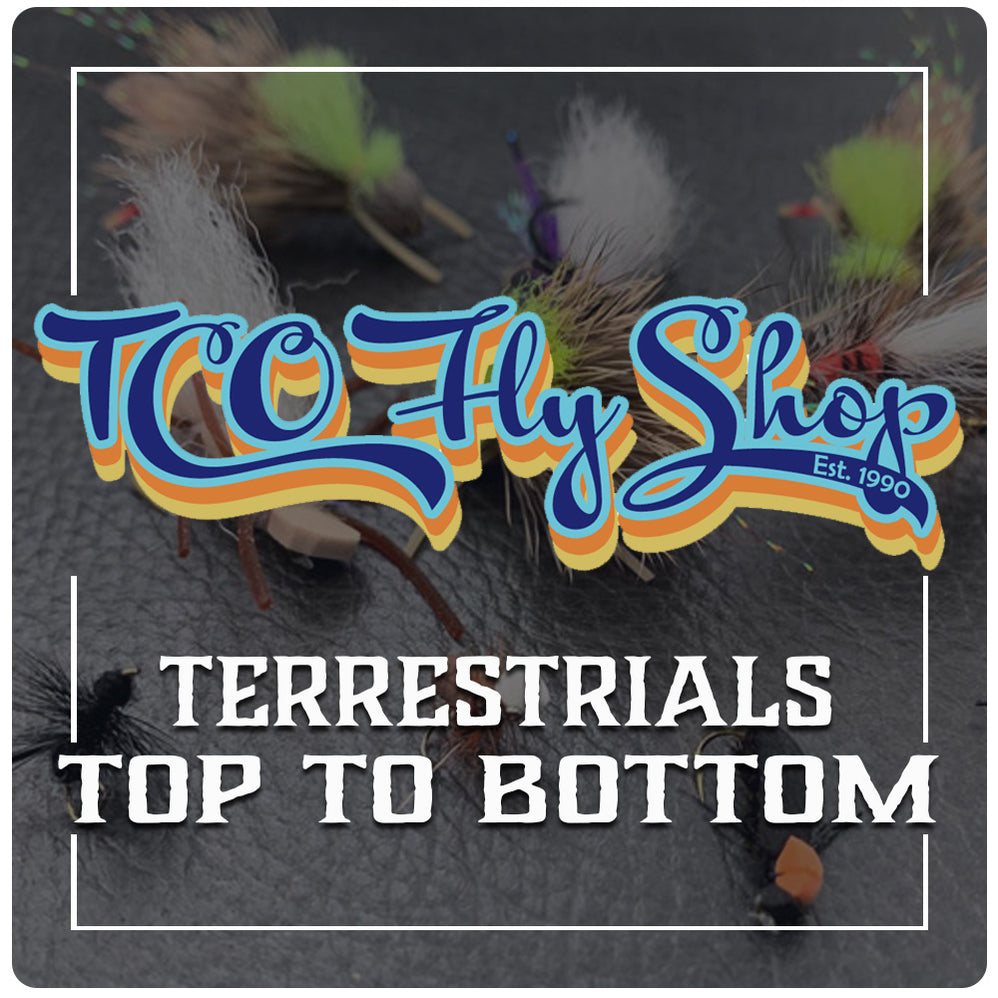 Fly Fishing Education — TCO Fly Shop