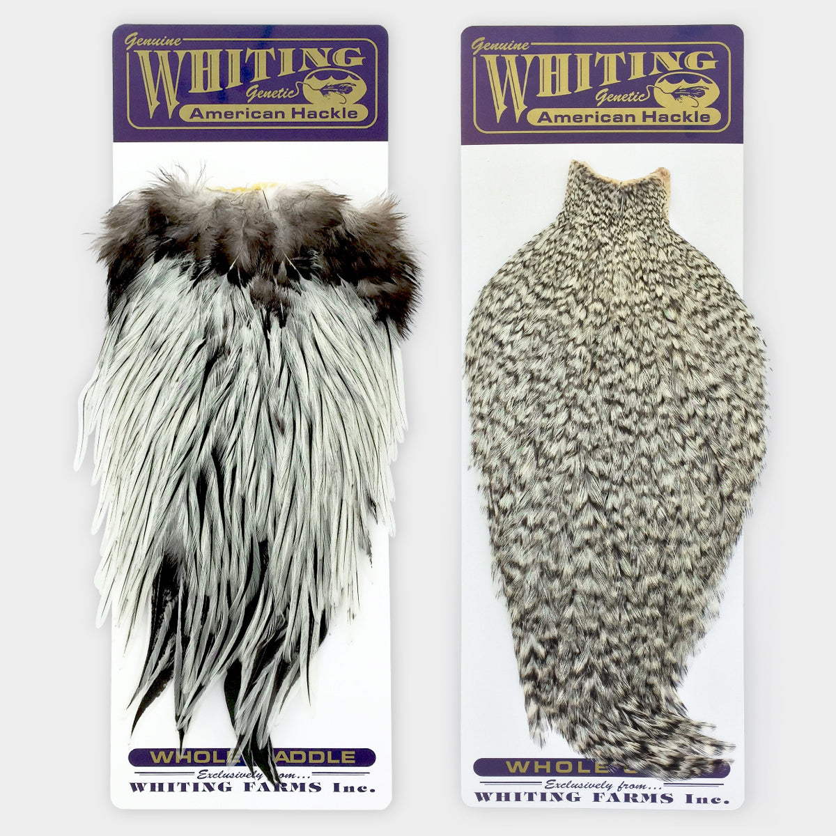 Whiting American Rooster Cape — TCO Fly Shop