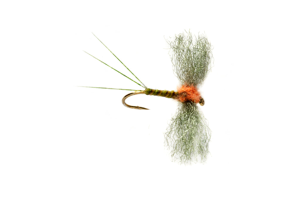 Burkus' Western Green Drake Spinner — TCO Fly Shop
